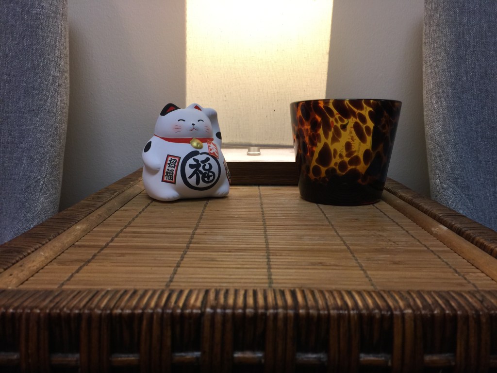 Catch a Fish Wellness – Acupuncture & Wellness Herndon Northern VA